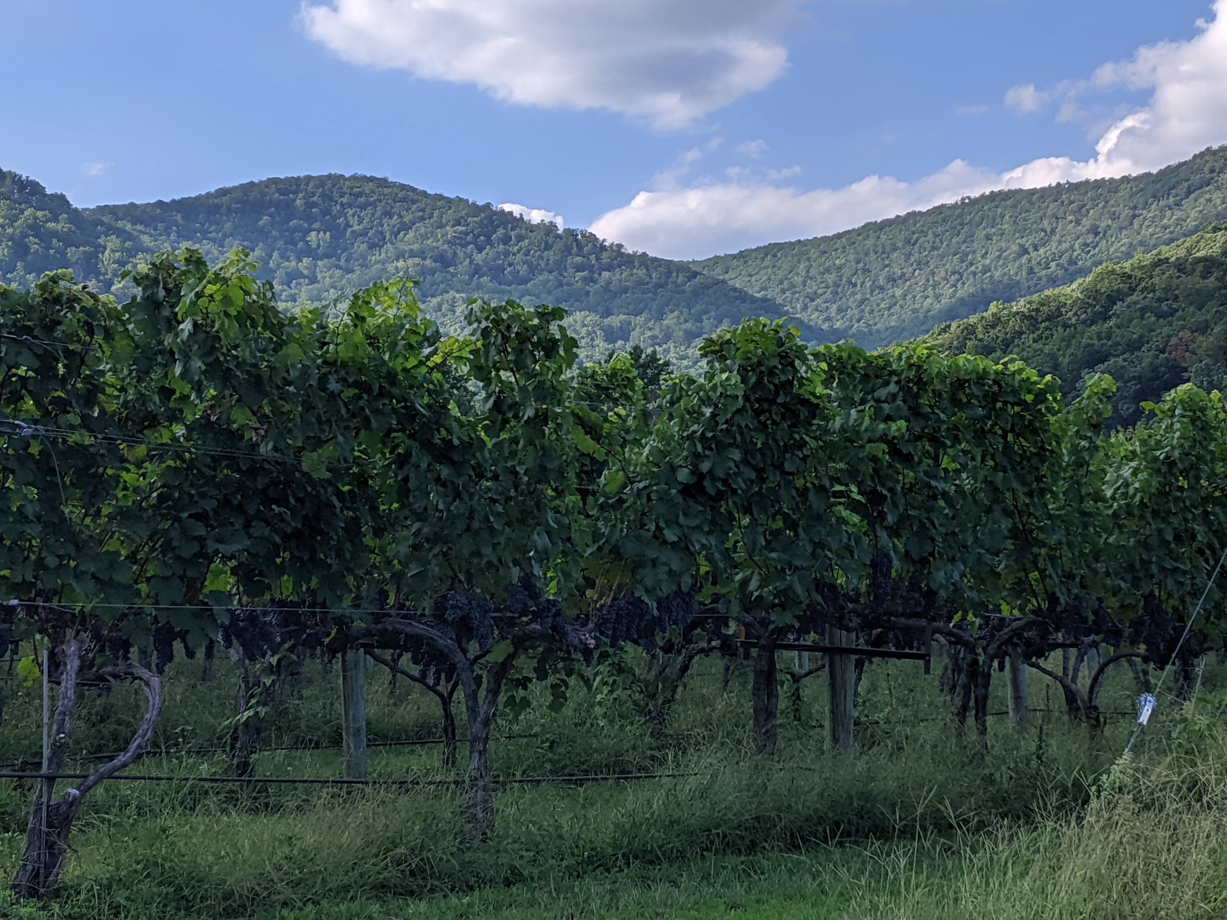 Nimbus 9 Quest – From desk to destiny, we are IT professionals in the DC metro area that love to ...